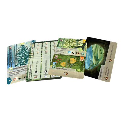 Forest Shuffle Exploración | Cómpralo ya en nuestra tienda online